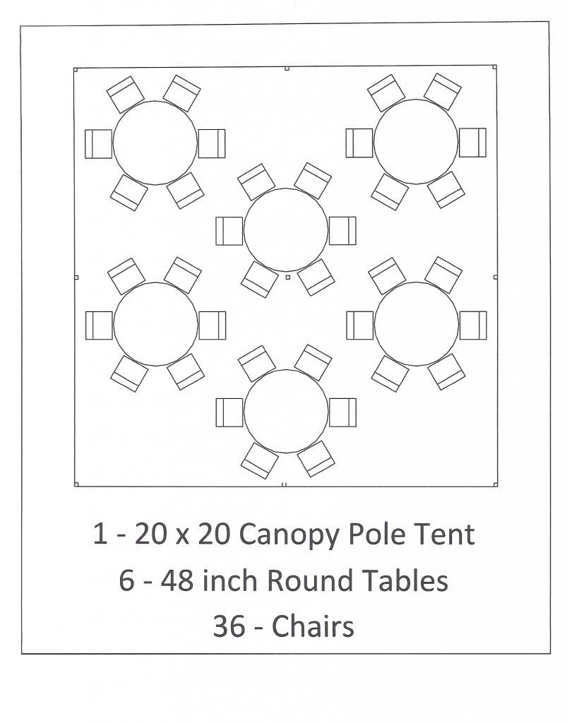 20 X 20 CANOPY POLE TENT