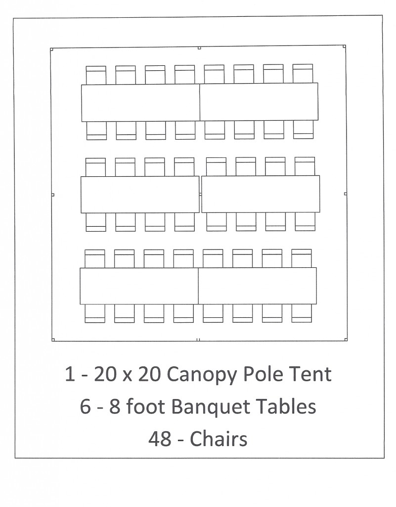 20 X 20 CANOPY POLE TENT